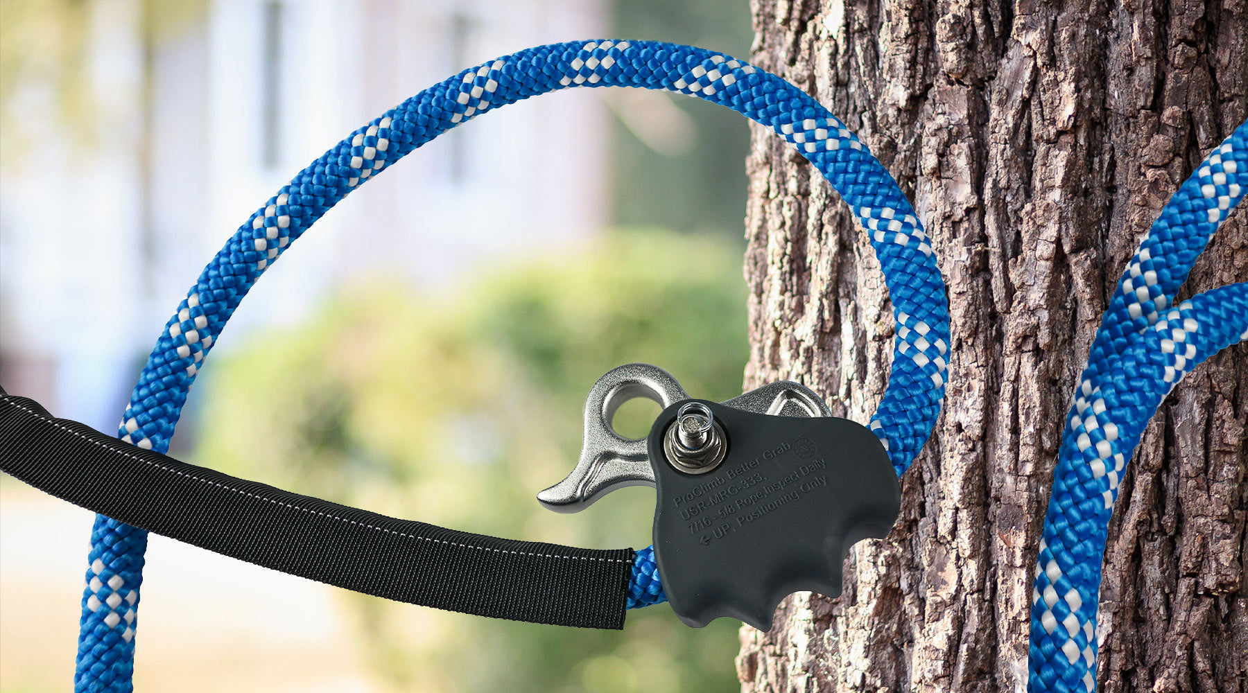 Our Position on Secondary Lanyards in Arboriculture