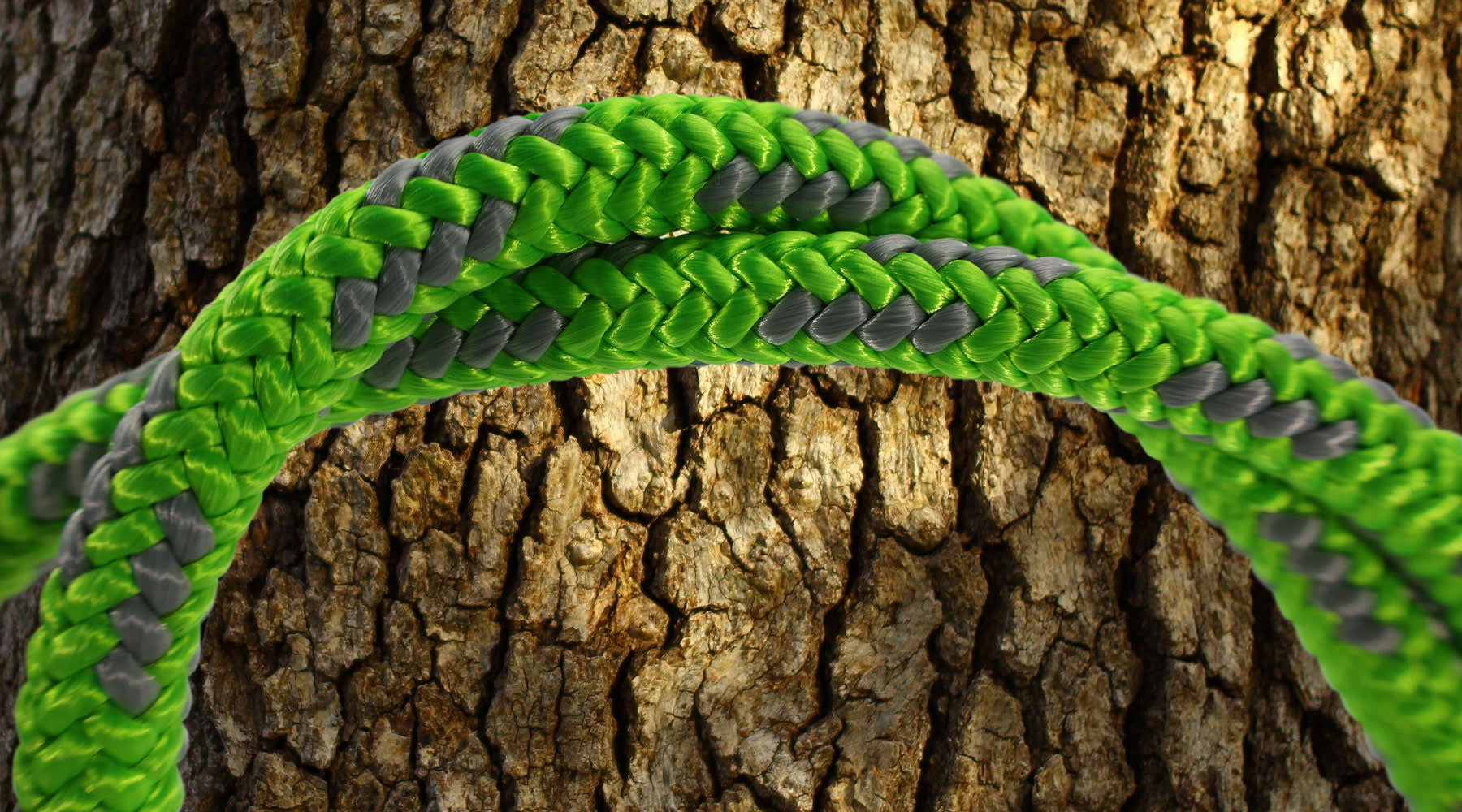 Top 5 Tips for Extending the Life of Your Arborist Line